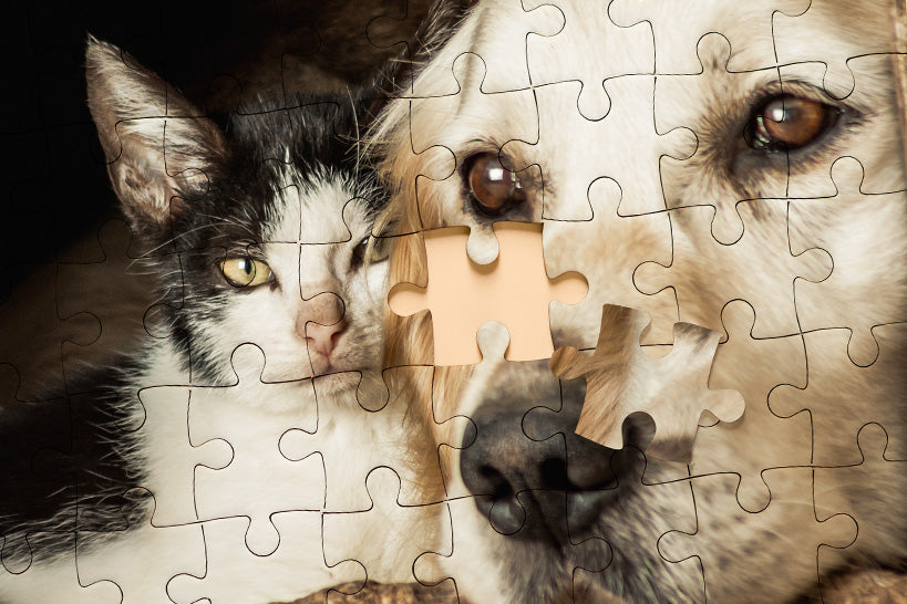 Custom Puzzle from your favorite photo – Custom Puzzle Shop